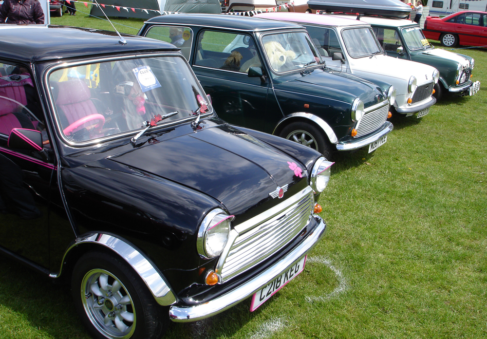 mini – One Man And His Mustang