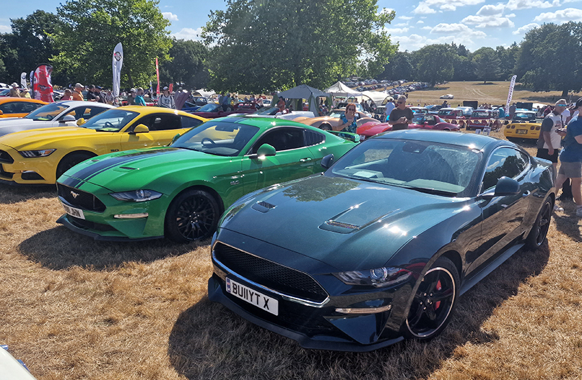 Helmingham Hall Car show ’22- 13 – One Man And His Mustang