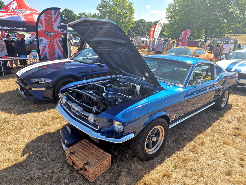 Helmingham Hall Car show ’22- 17 – One Man And His Mustang