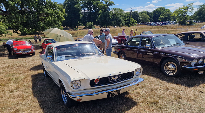 Helmingham Hall Car show ’22- 185 – One Man And His Mustang