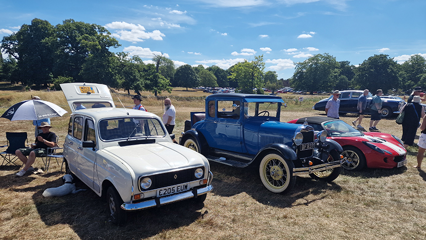 Helmingham Hall Car show ’22- 188 – One Man And His Mustang
