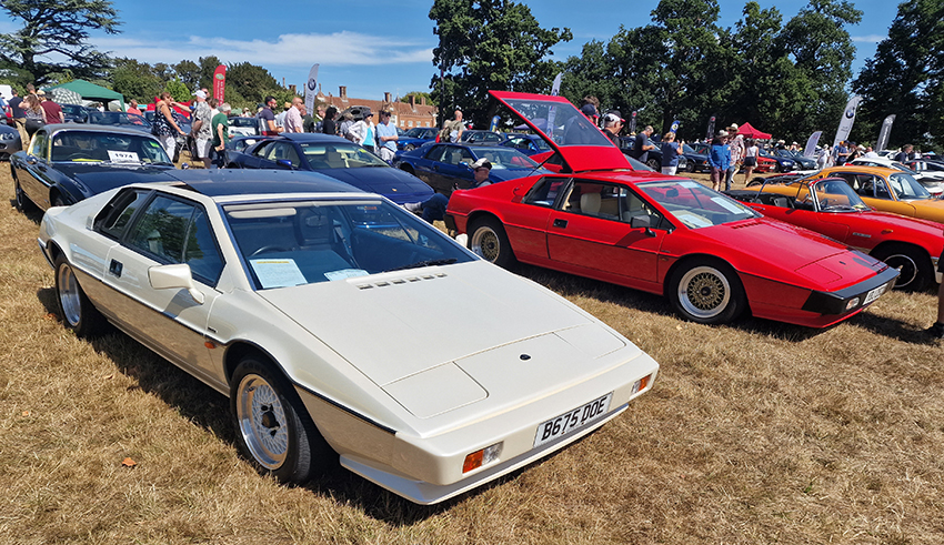 Helmingham Hall Car show ’22- 40 – One Man And His Mustang