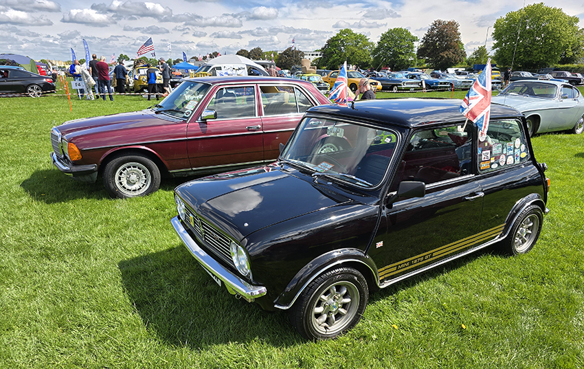 Enfield Pageant ’24 154 – One Man And His Mustang