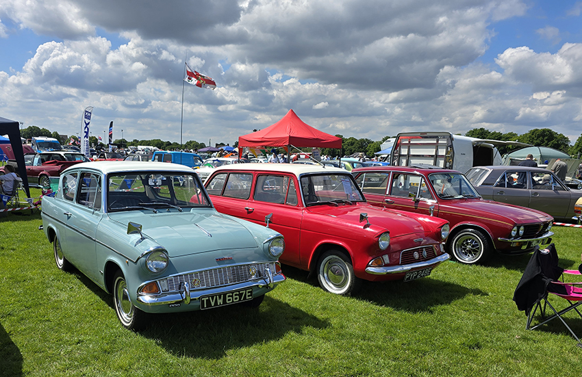 Enfield Pageant ’24 284 – One Man And His Mustang