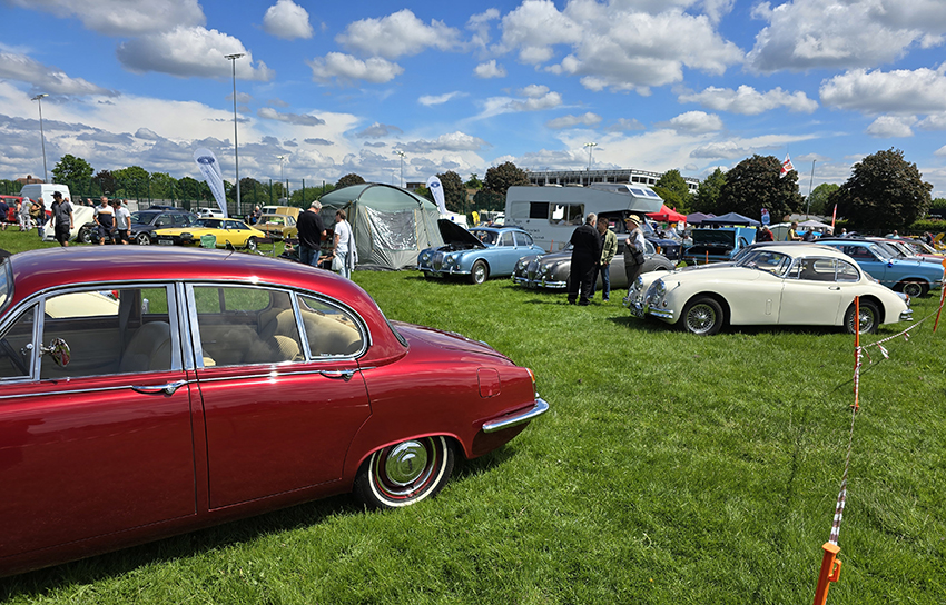 Enfield Pageant ’24 326 – One Man And His Mustang