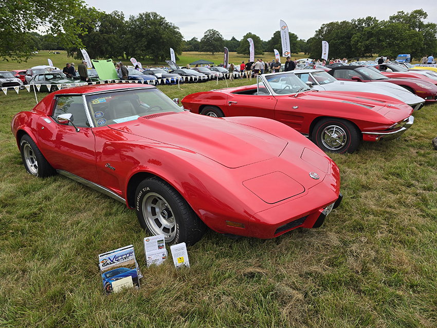 Helmingham Hall car show ’24 122 – One Man And His Mustang