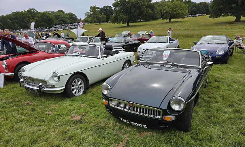 Helmingham Hall car show ’24 154 – One Man And His Mustang